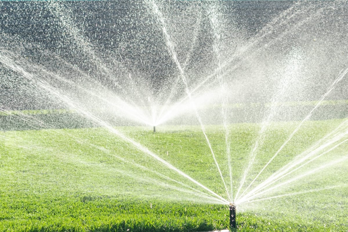 How To Design A Sprinkler System: Tips For Efficient Lawn Irrigation ...